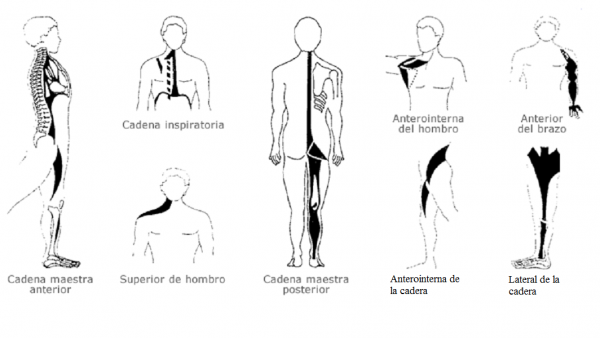 Descompensaciones y retracciones musculares