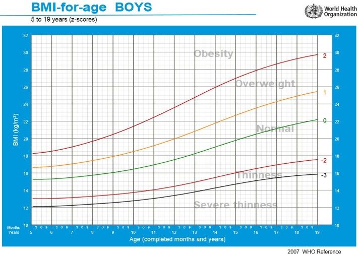 Cómo calcular tu IMC