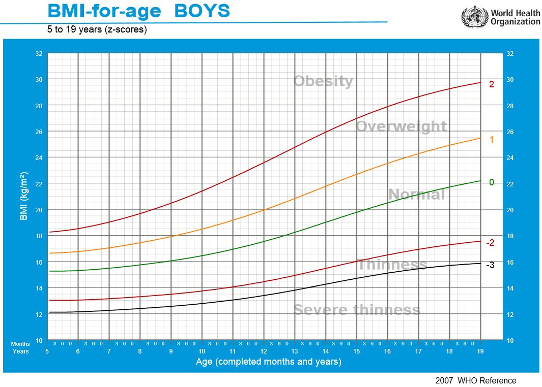 Cómo calcular tu IMC