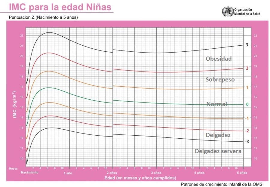 Cómo Calcular Tu Imc