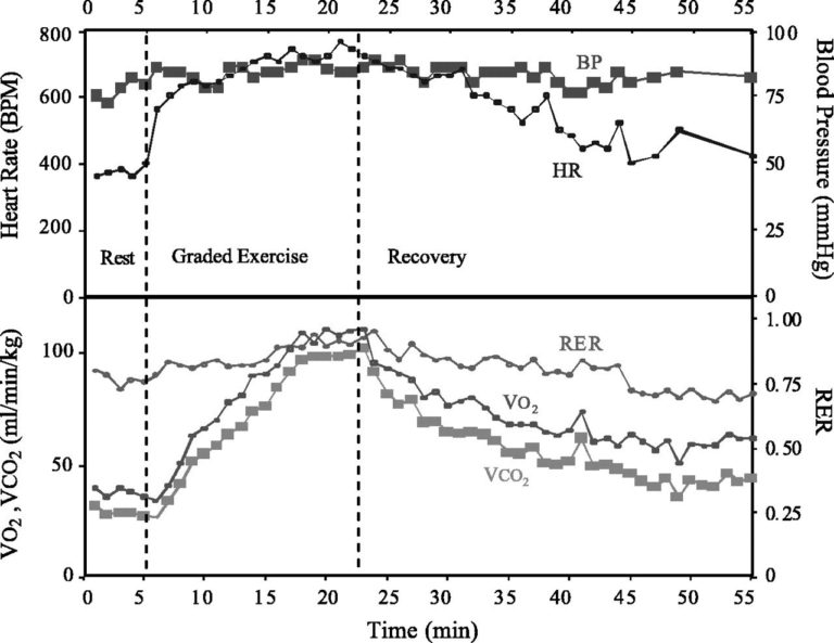 Pruebas de esfuerzo con consumo de O2: bases y aplicaciones