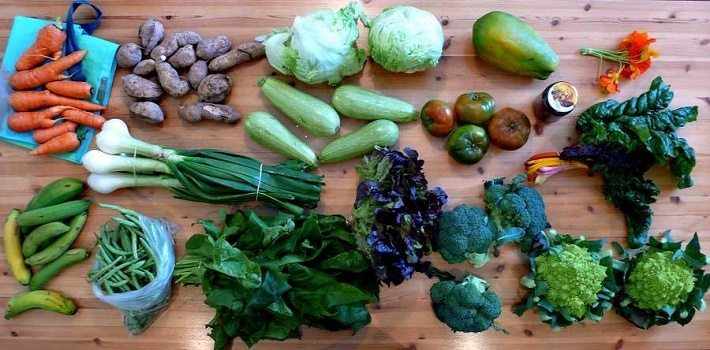 Nombres De Vegetales Que Son Raros 6 Frutas Exóticas Que Te