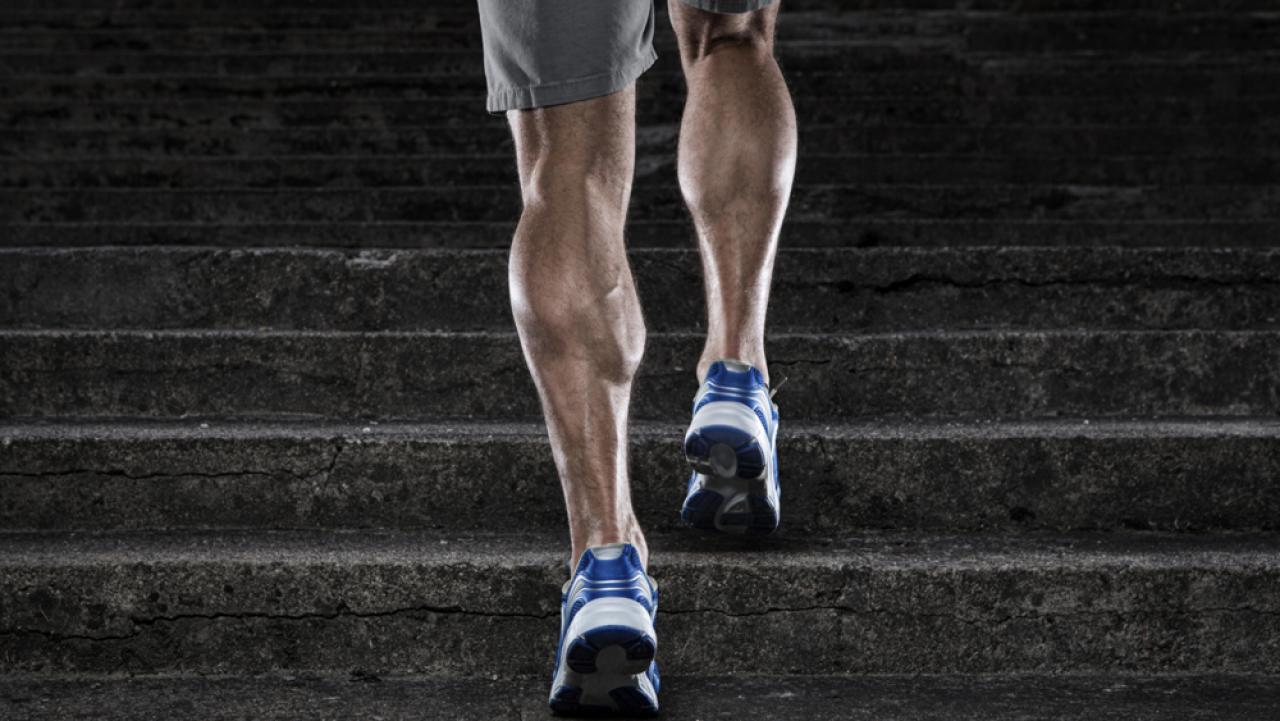 La rutina definitiva para el tren inferior