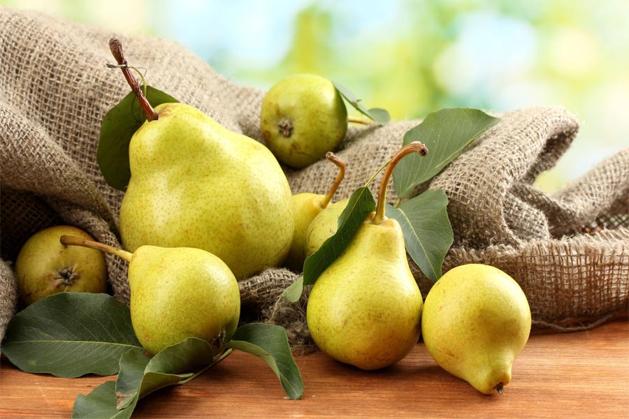 Los 10 mejores alimentos para el otoño y el invierno