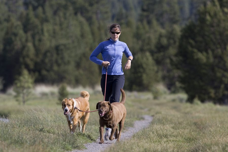 6 consejos que debes seguir antes de salir a correr con tu perro