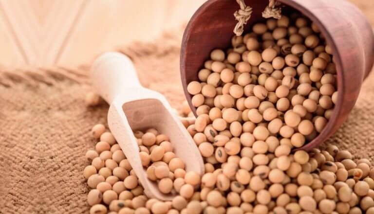 Los 6 alimentos que más lectinas tienen