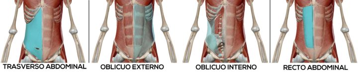 4 señales de que los músculos de tu core son demasiado débiles