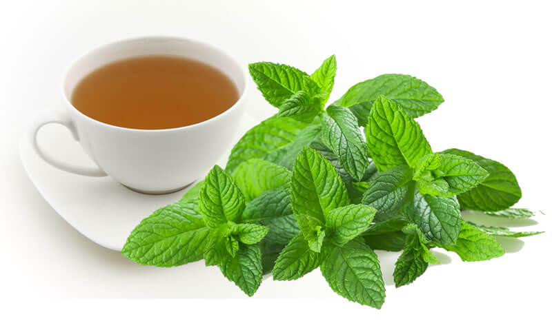 6 tipos de tés herbales que debes probar