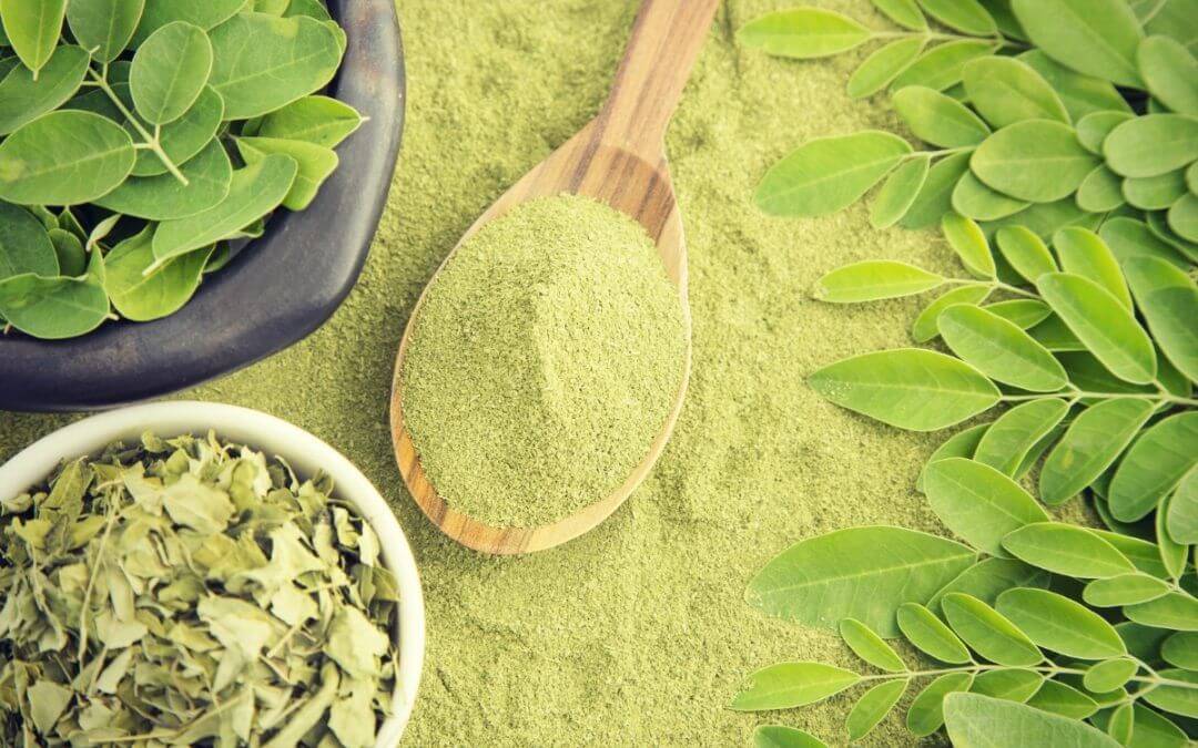 5 beneficios de la Moringa Oleifera basados en la ciencia
