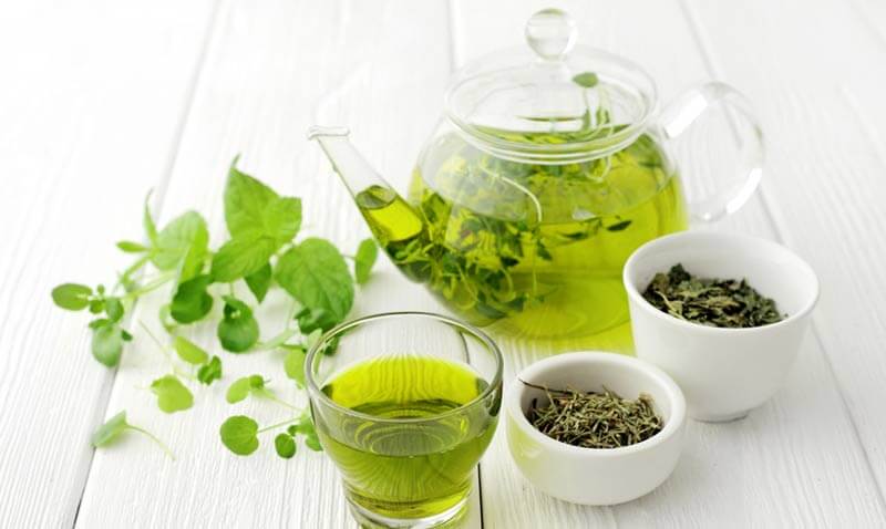 La guía definitiva del extracto de té verde