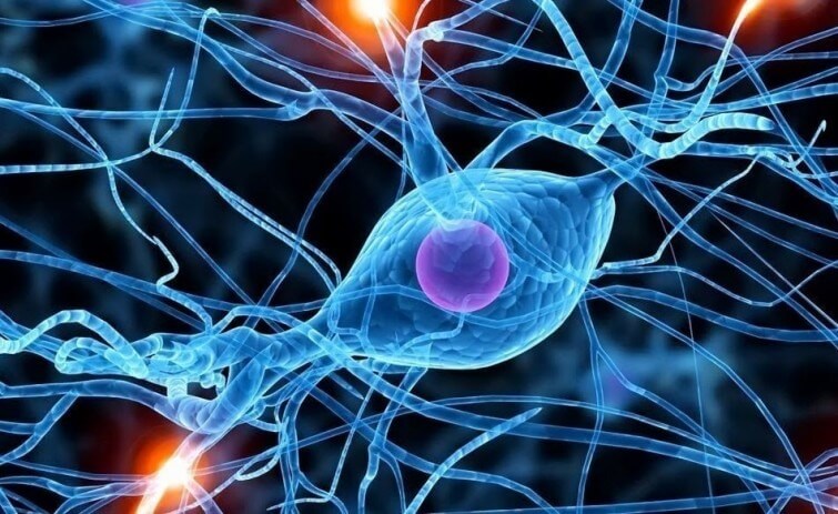 La guía definitiva de los electrolitos