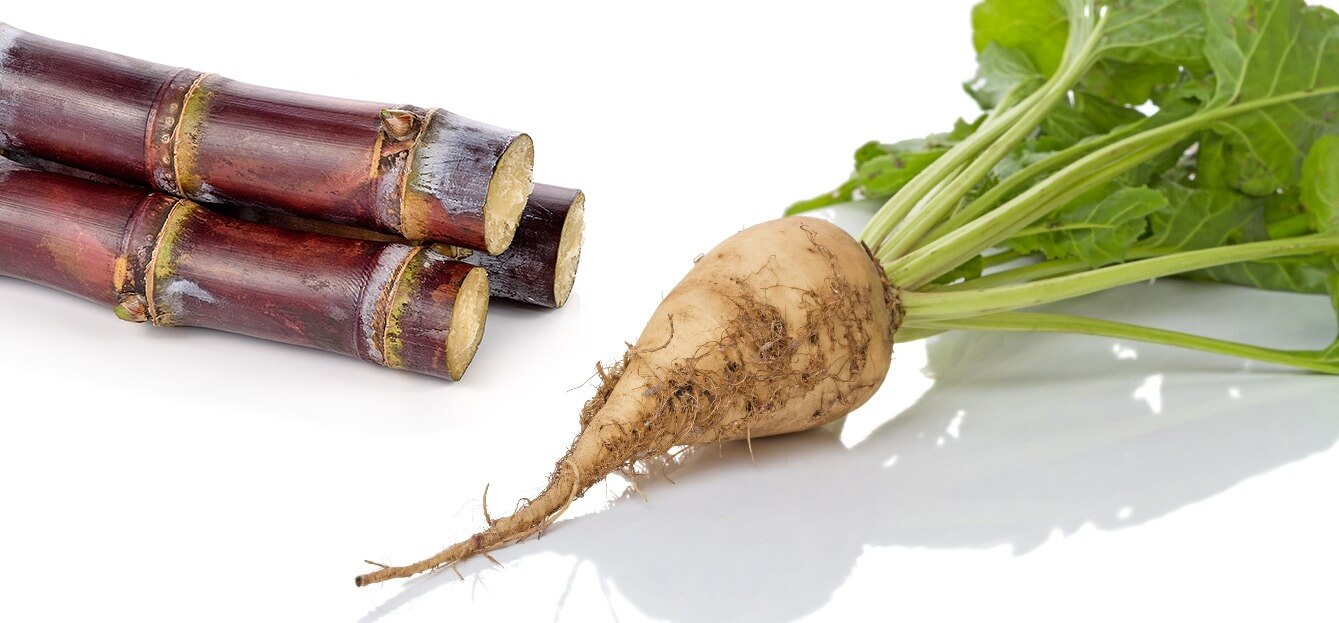 Azúcar de remolacha vs. azúcar de caña: ¿cuál es más saludable?