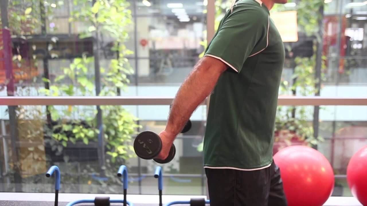 Guía para entrenar adecuadamente el pectoral mayor