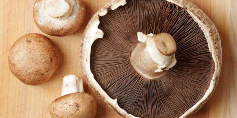 La guía definitiva para identificar champiñones comestibles