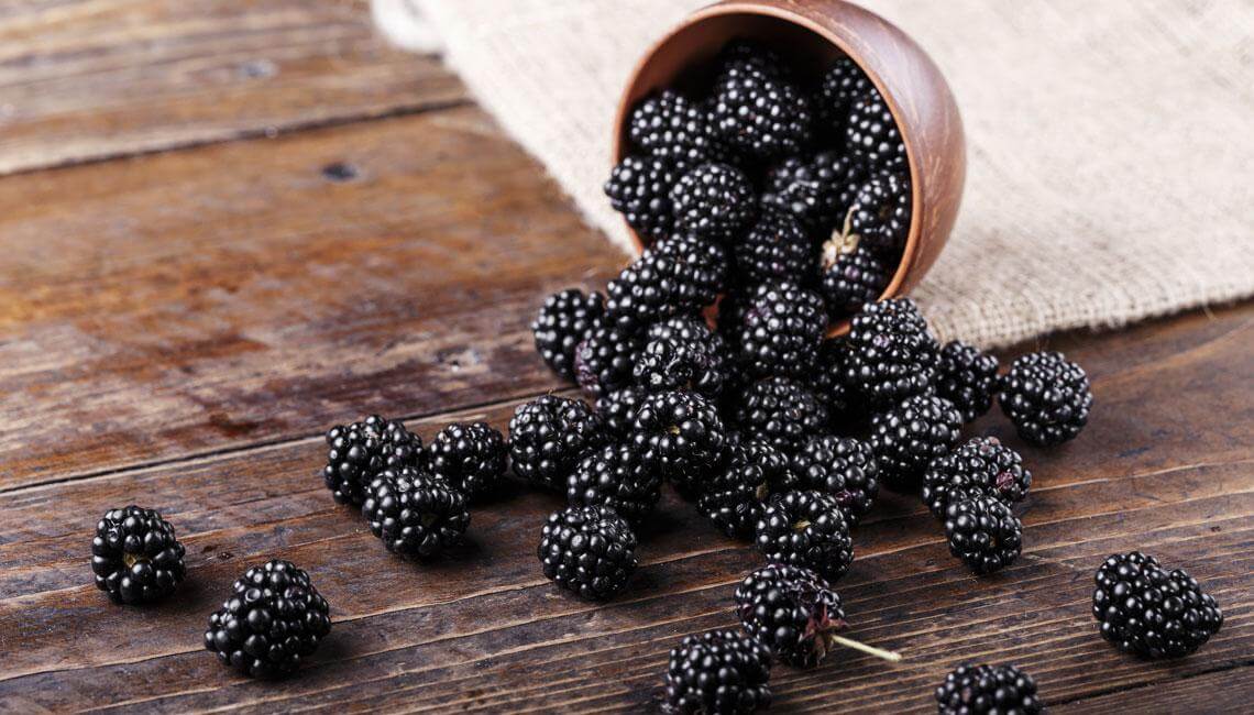 5 frutas azules con efectos muy poderosos para la salud