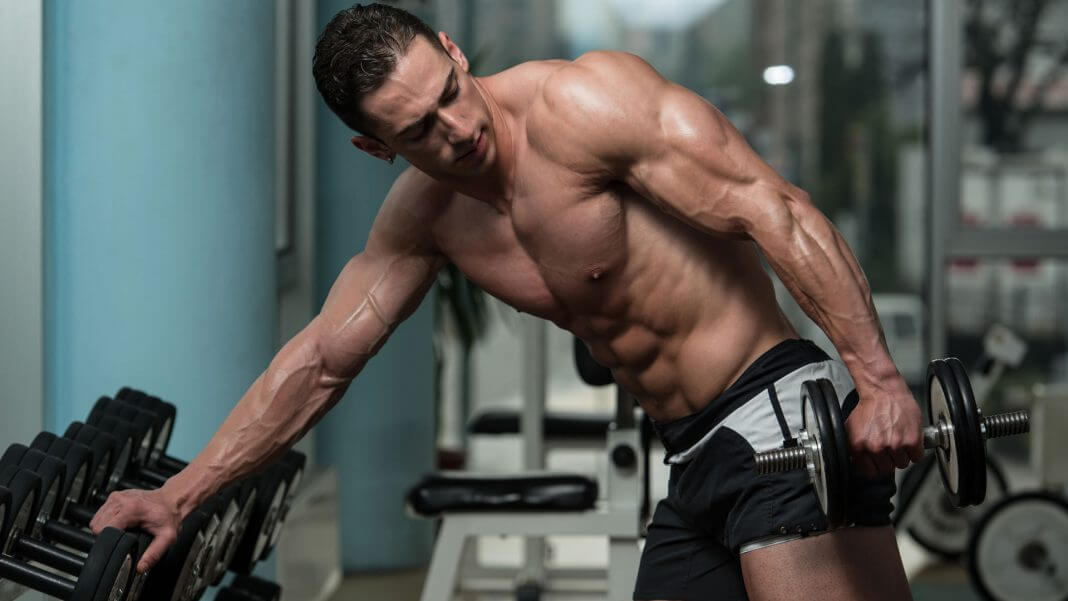 La guía definitiva para entrenar el tríceps