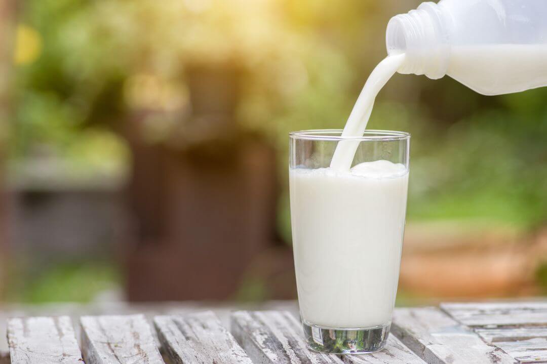 Beneficios y usos de la leche fortificada
