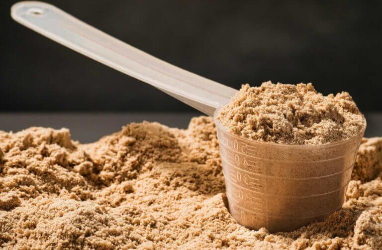 beneficios de las proteínas en polvo - Entrenamiento