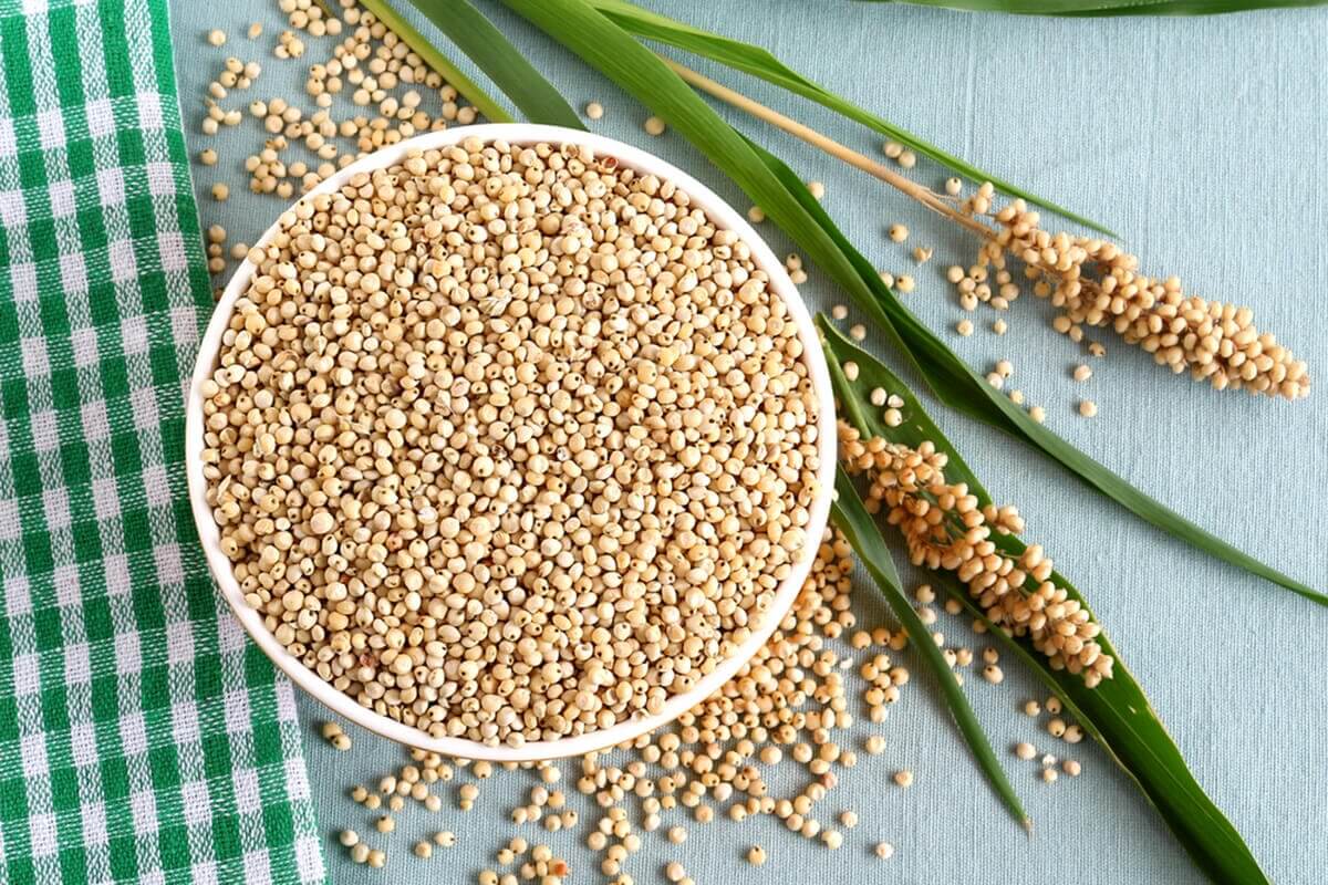 Sorgo ¿Qué es y qué beneficios aporta a nuestra salud?
