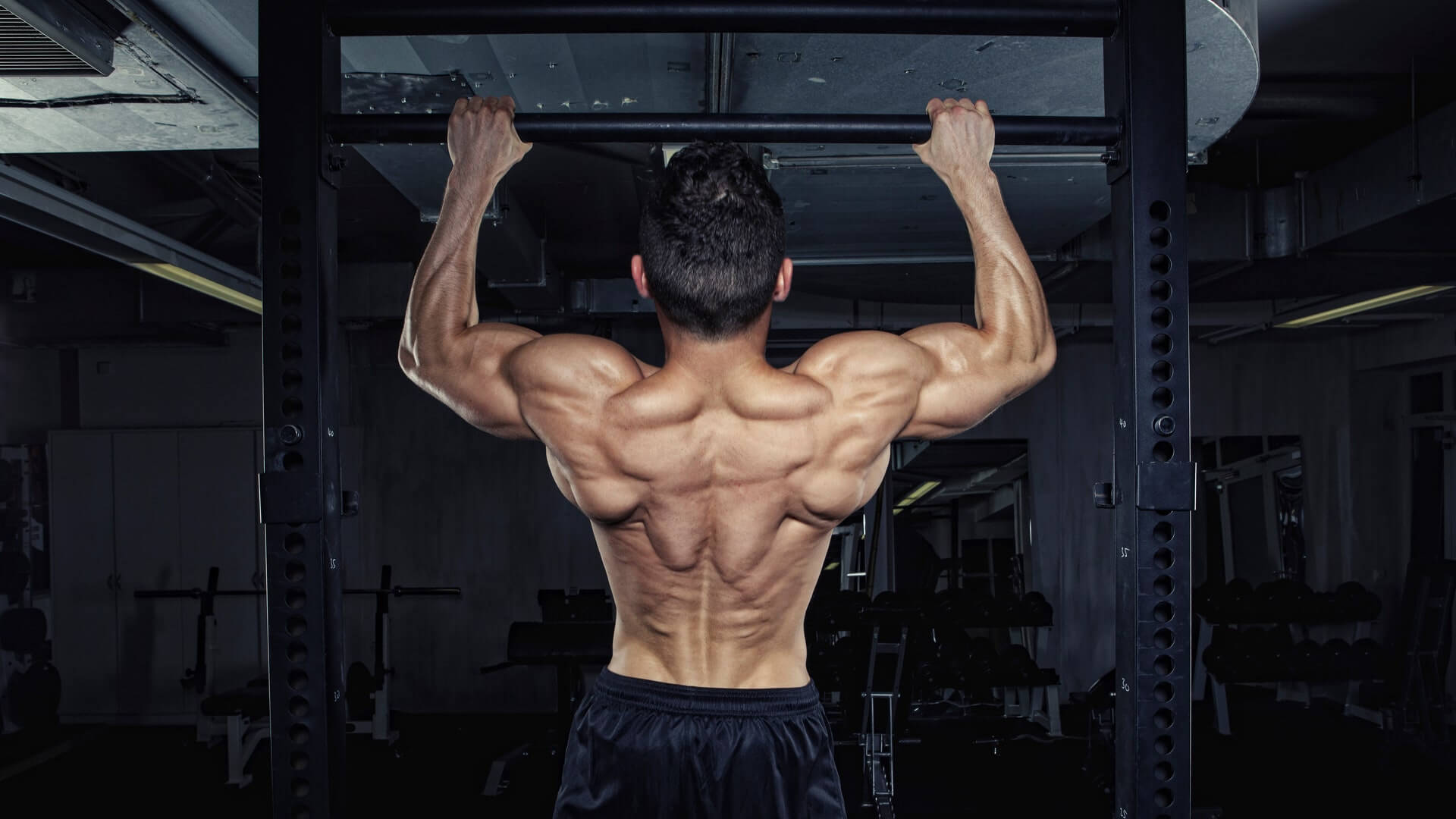 Los 8 mejores ejercicios multiarticulares para ganar fuerza y músculo