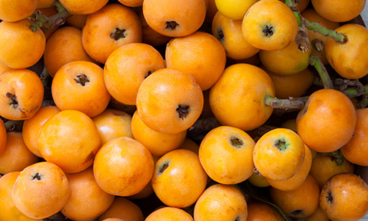 Todos los beneficios que aporta el níspero si lo incluyes en tu dieta