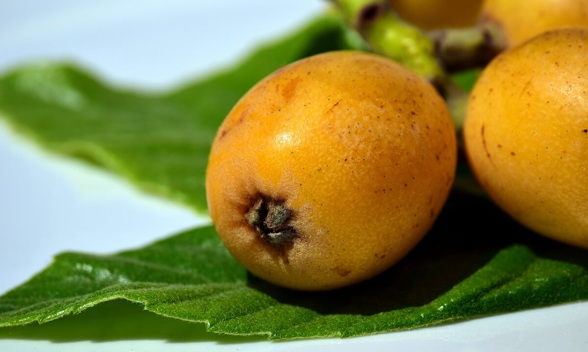 Todos los beneficios que aporta el níspero si lo incluyes en tu dieta