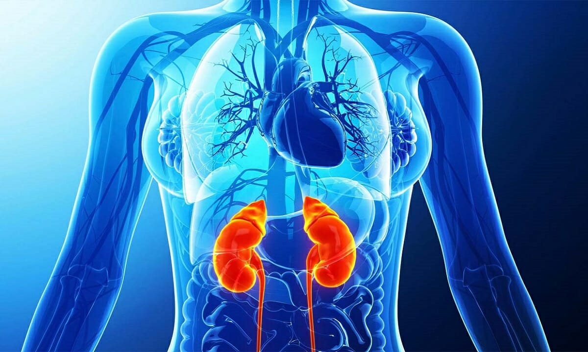 Enfermedad de Addison: causas, síntomas y tratamiento