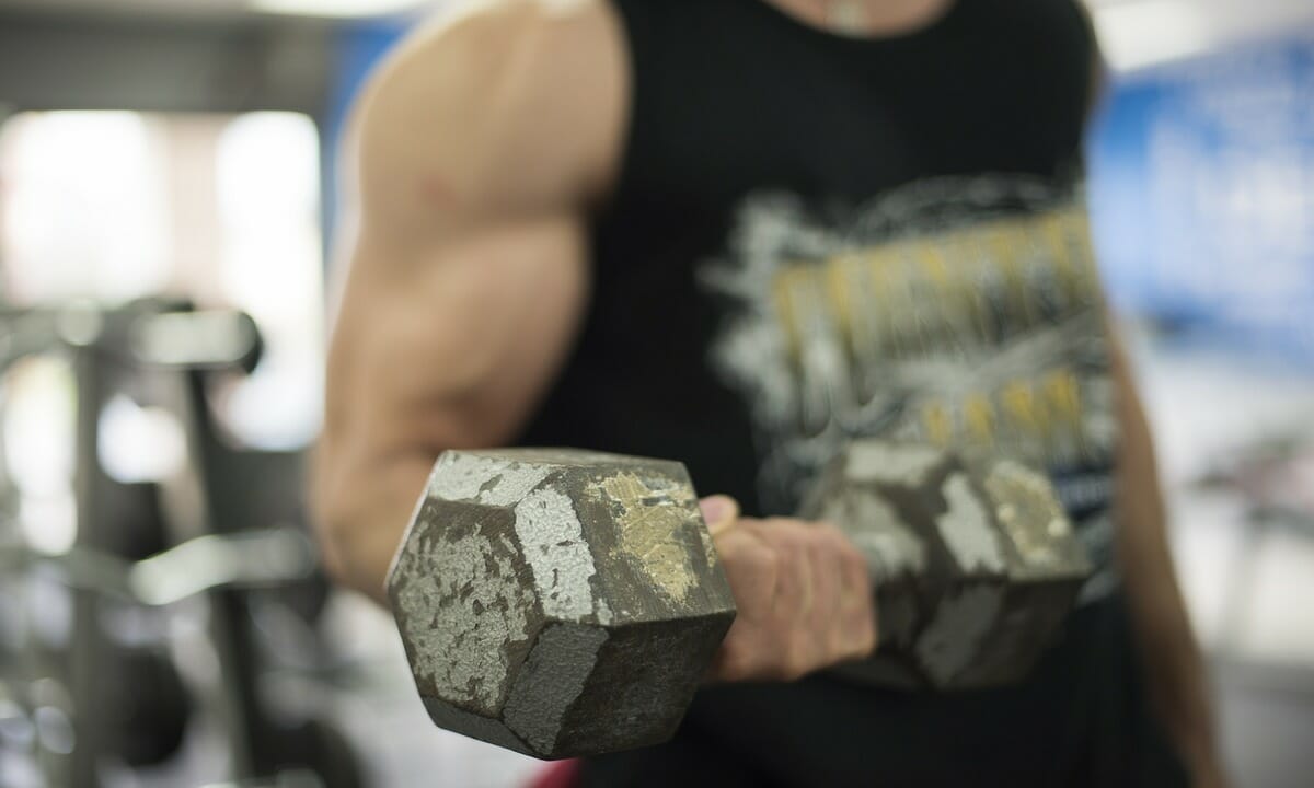 Musculacion - Entrenamiento